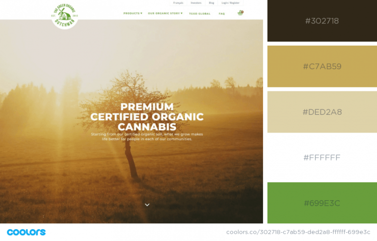 39 Inspiring Website Color Schemes to Awaken Your Creativity