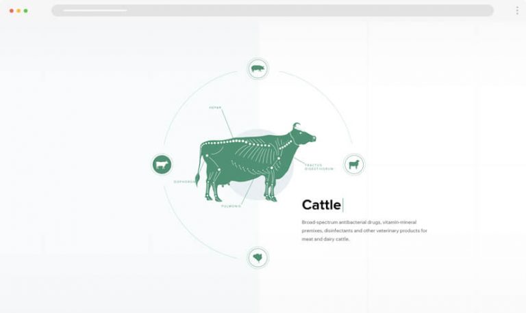 15 Great Website Design Ideas +Free Design Assets | GM Blog