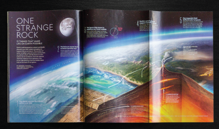 50 Engaging Infographic Examples That Make Complex Ideas Look Great